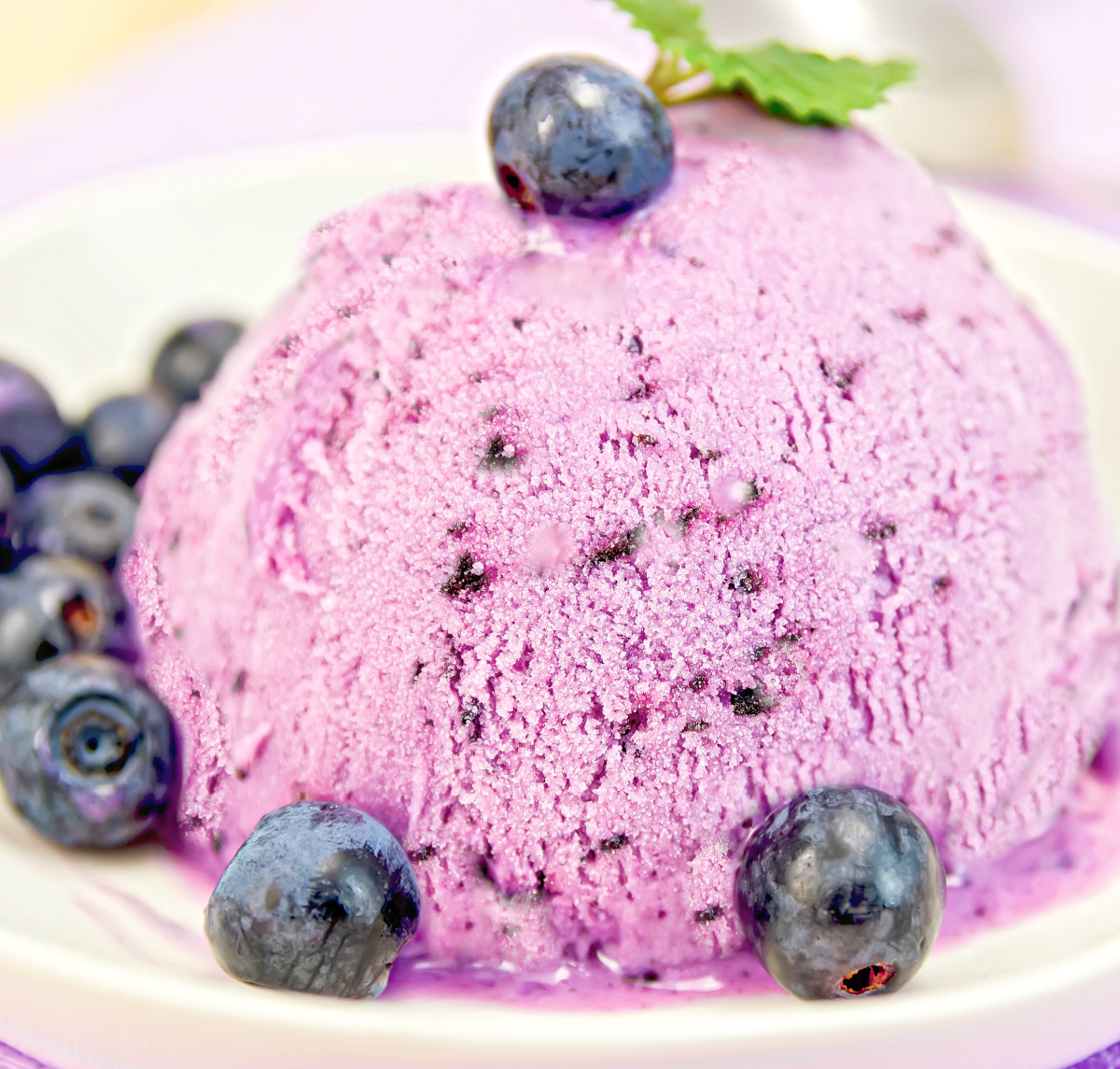 Keto Blueberry Ice Cream Recipe · Fittoserve Group