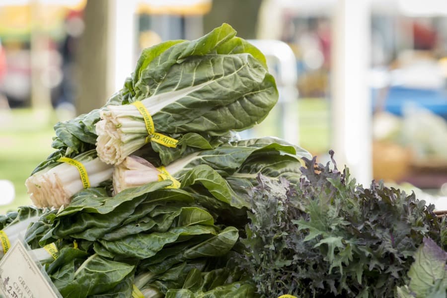 7 Best Keto-Friendly Vegetarian Protein Sources To Help You Stay On ...